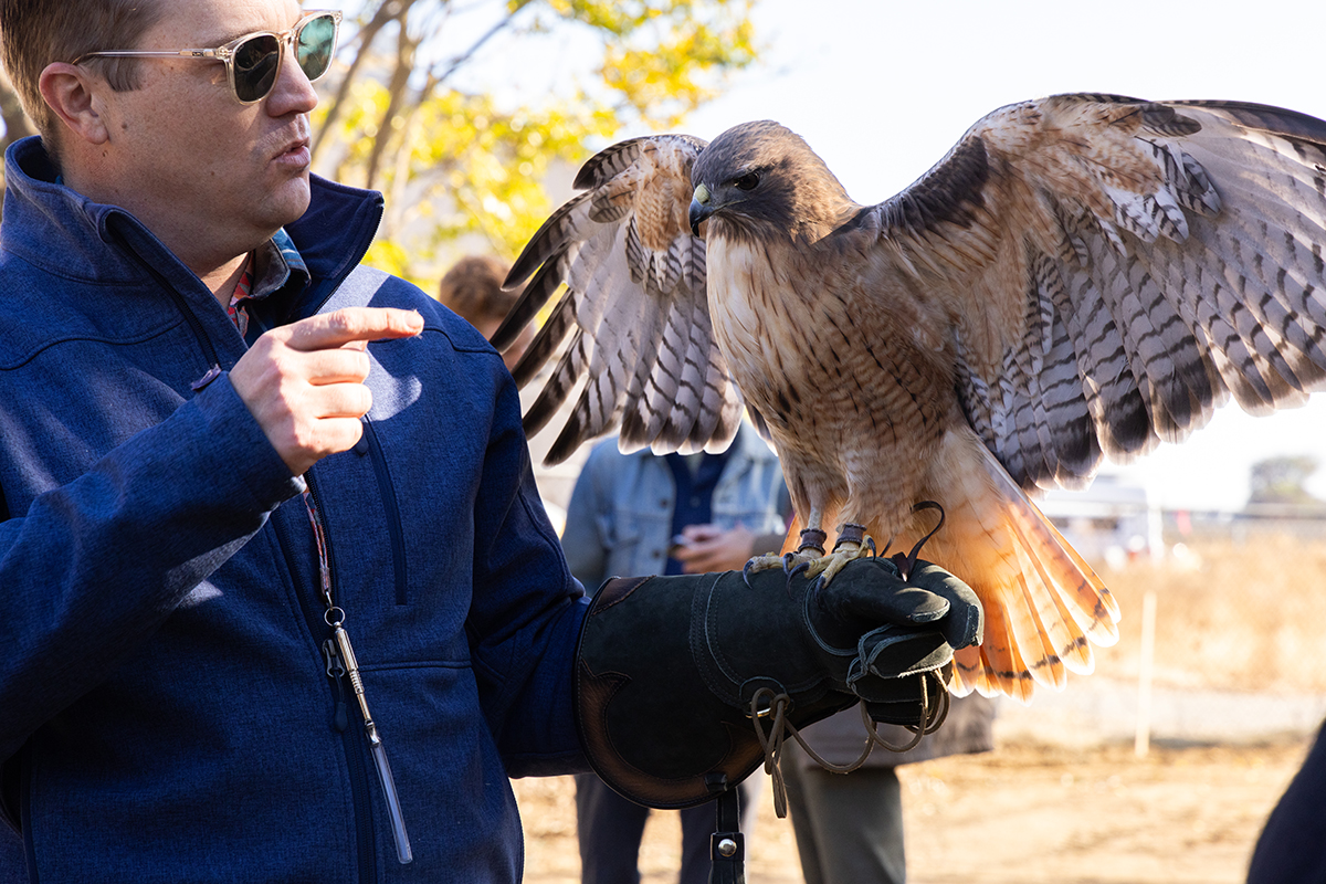 Bird Flight Research Center Breaks Ground at UC Davis | College of ...