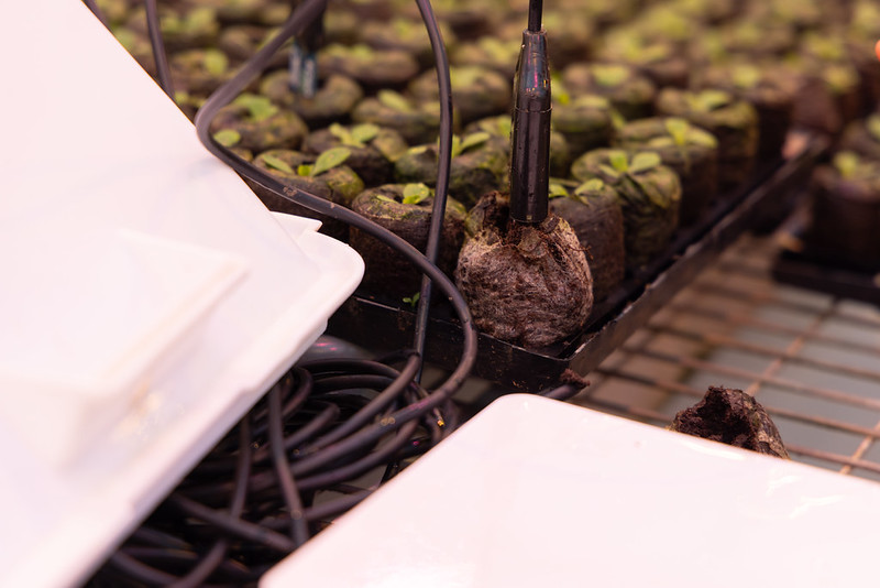 How Grace Algeo is Building Smarter Systems for Modern Farming ...